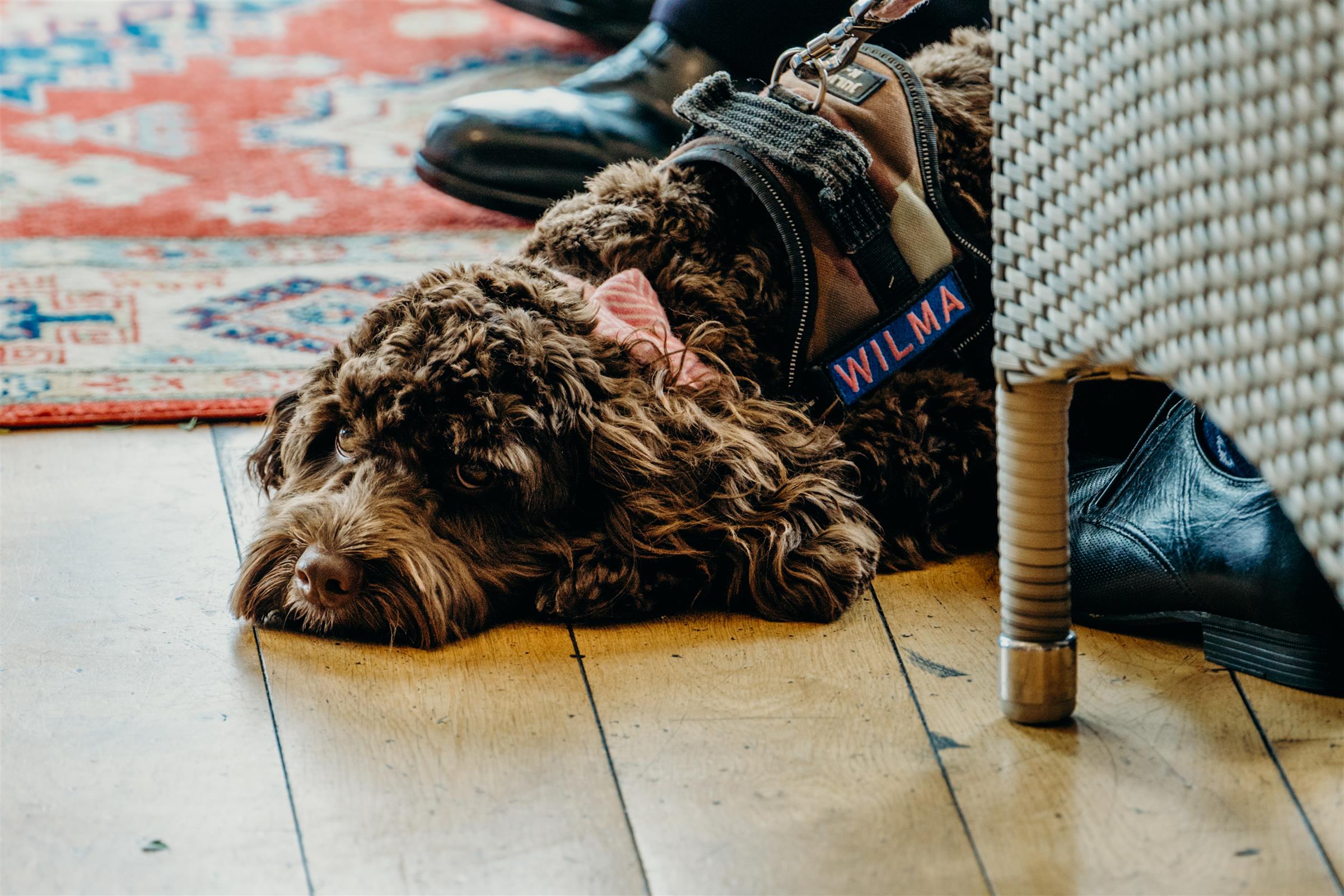 Welcome - The Turtley Corn Mill